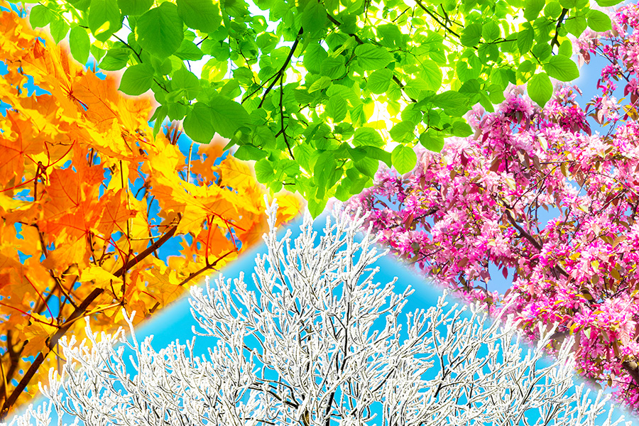 The Power of Seasonal Content in Digital Marketing - PCM AGENCY